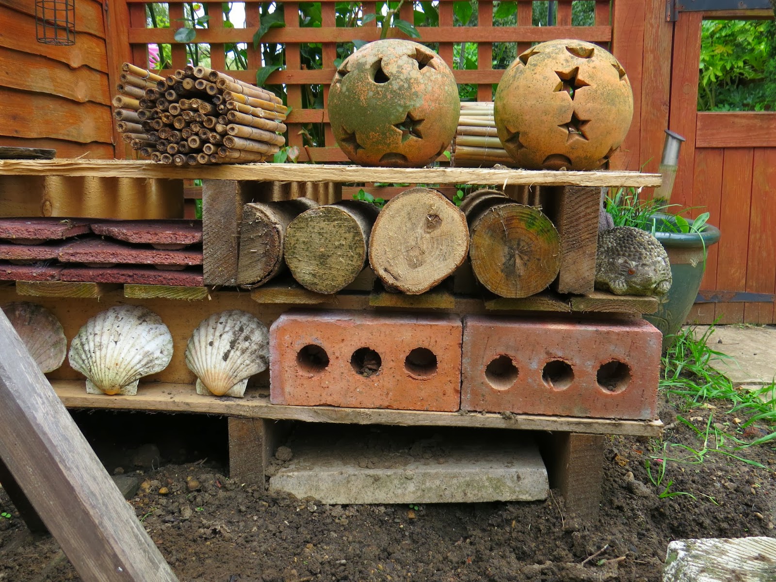 Appleton Wildlife Diary: Bug mansion