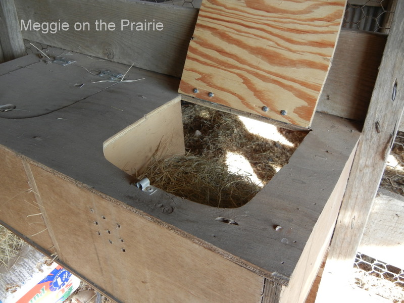 Meggie On The Prairie: Least Favorite Chore