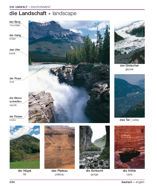 die Umwelt Environment