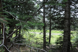 Arizona Hiking: CARR LAKE TRAIL SYSTEM