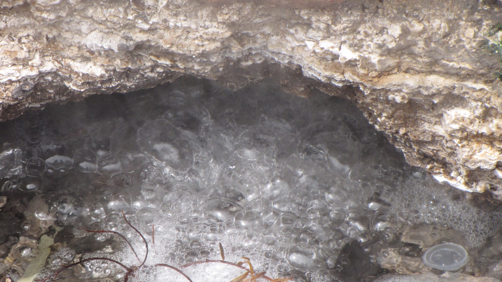 The Knotty Travellers: Thanksgiving in New Zealand