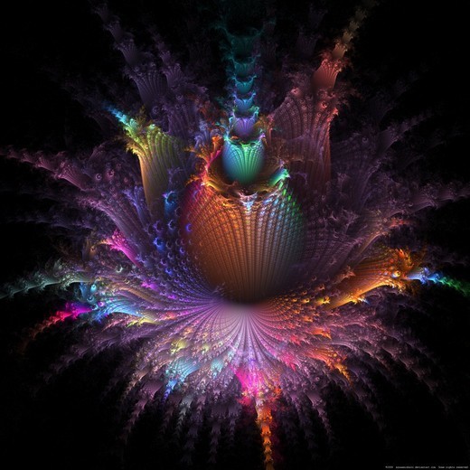 The Most Beautiful Examples of Fractal Flowers ~ Hampix