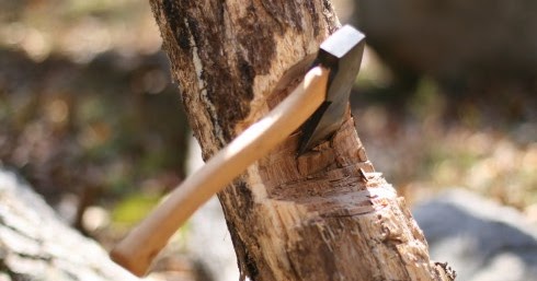 Dutoitspan Kimberley: Die houtkapper