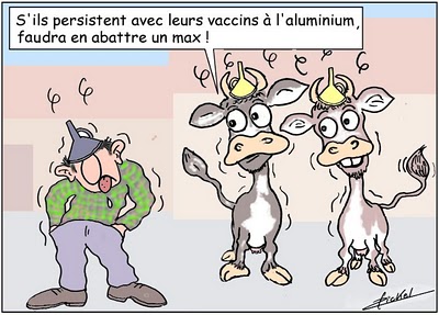 VACHES SACREES: HUMOUR
