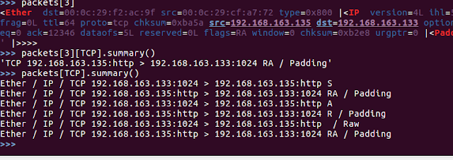 Information Security: Packet Replay in Scapy