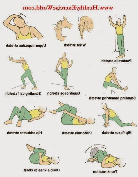 Haz de Educación Física: Ejercicios de Stretching-Elongaciones