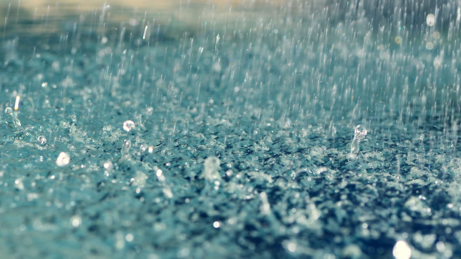 10 Fresh Wallpapers HD After Rain for Wonderful Background ~ HD ...