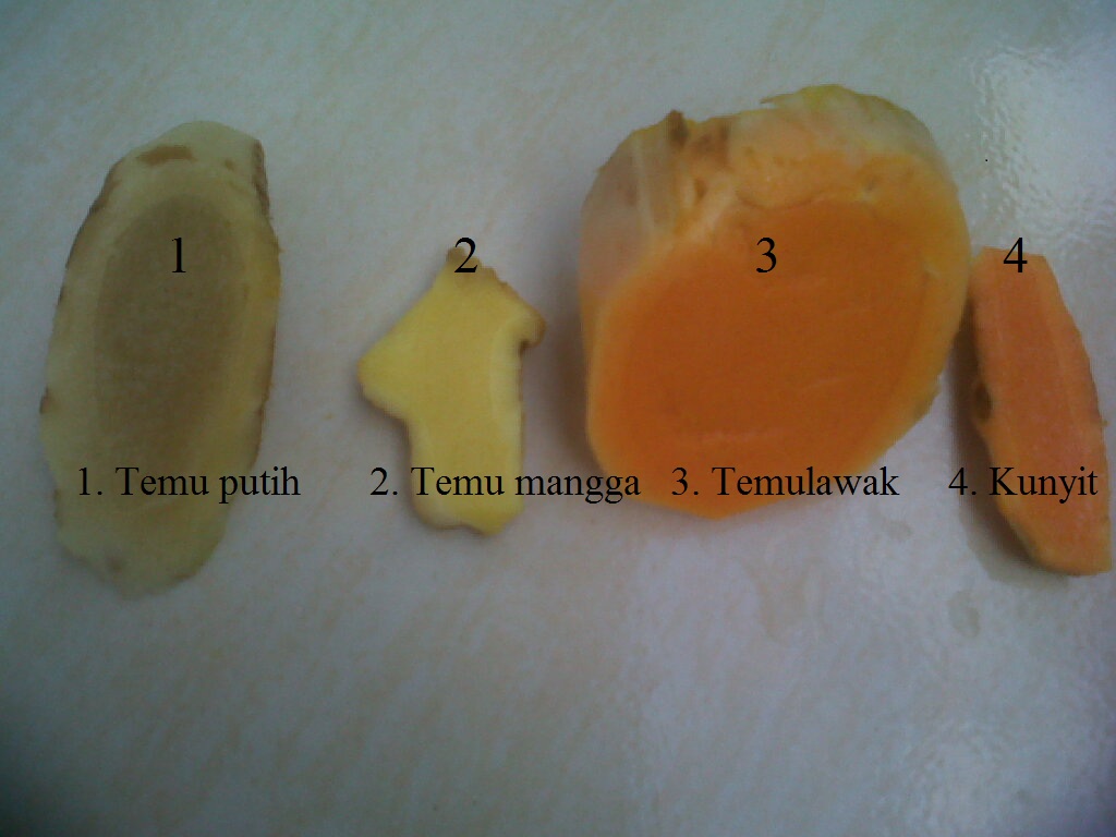 Rumah Tasikmalaya: Khasiat kurkumin / kurkuminoid (Temu putih, temu ...