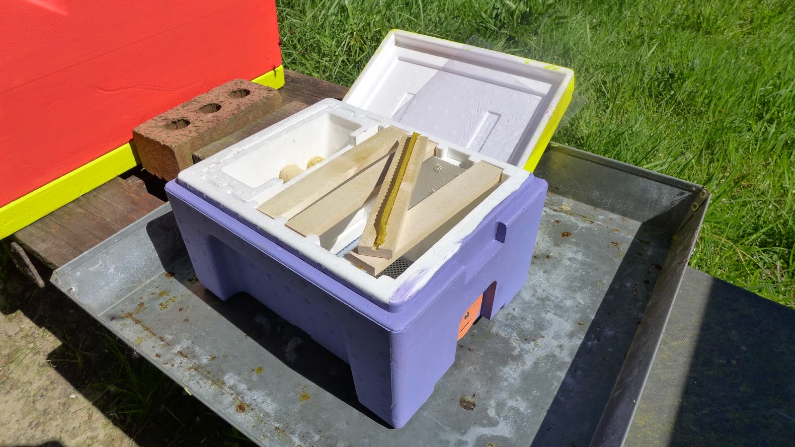 ApicultureS: Première ruchette de fécondation