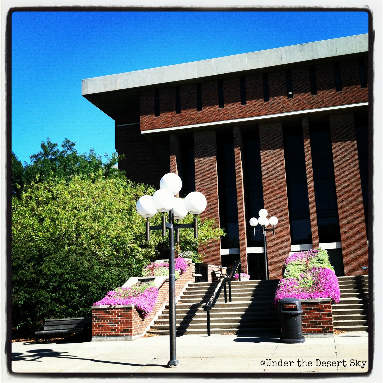 Under the Desert Sky: Out and About in Iowa City