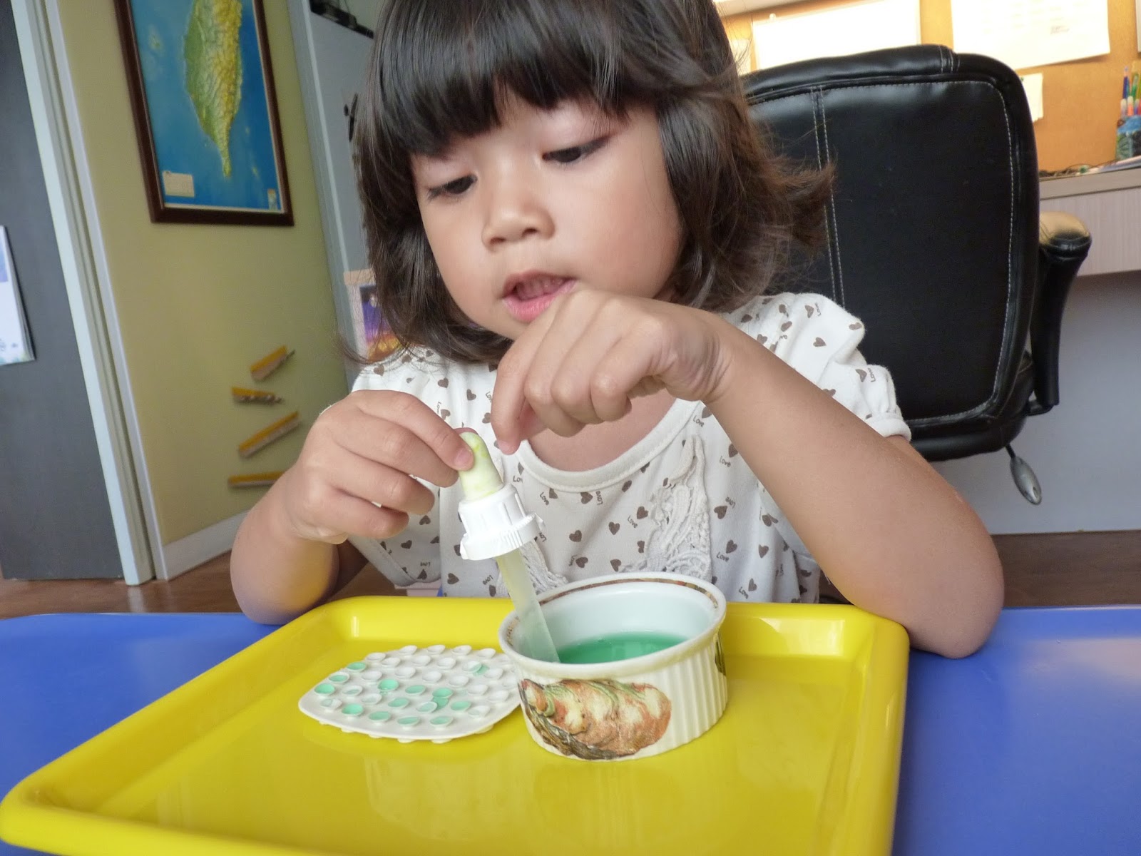 Montessori - Practical Life V - Using a dropper