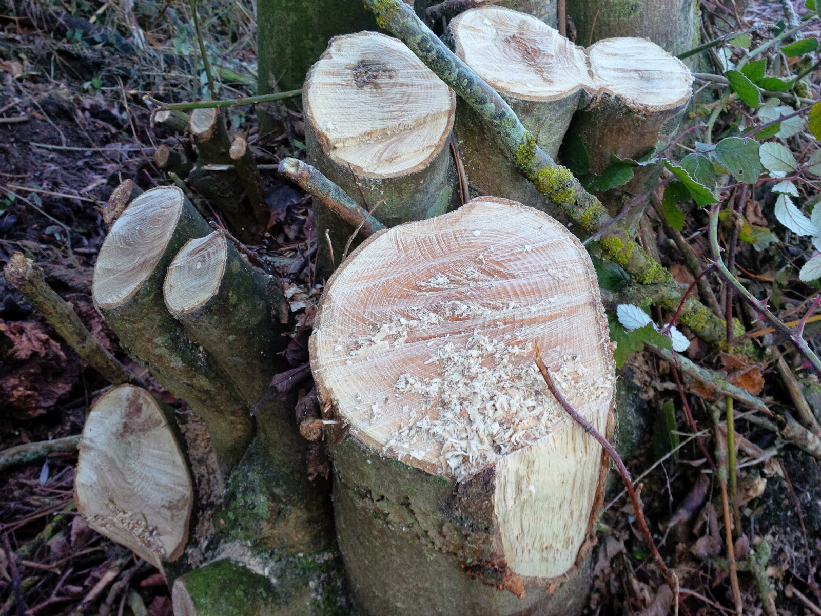 justthoughtsnstuff: 2014