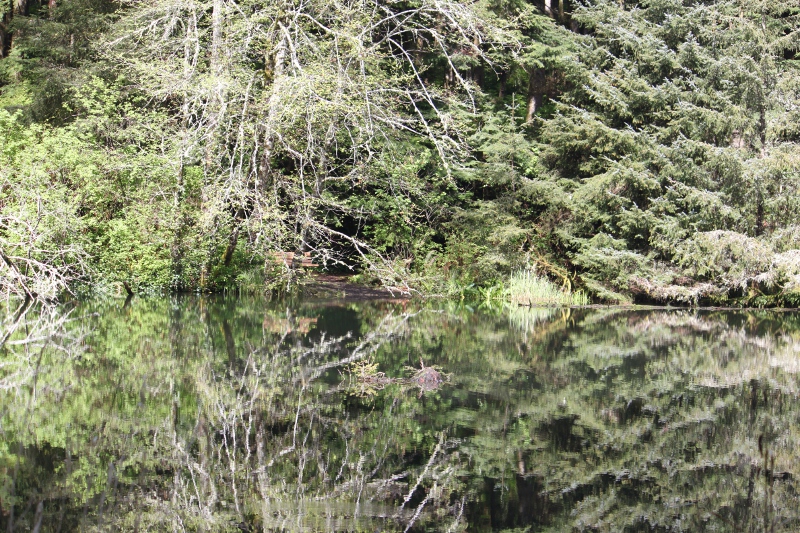 Central Oregon Coast: Spring Lake Open Space
