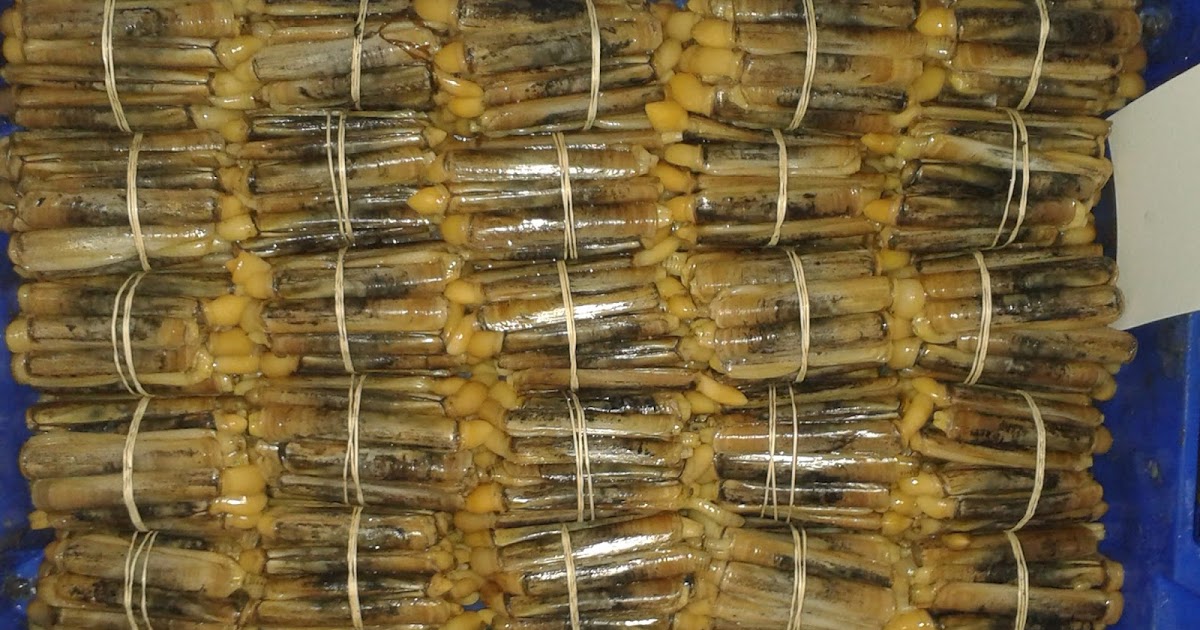 La Hoja: Longuerones en Salsa