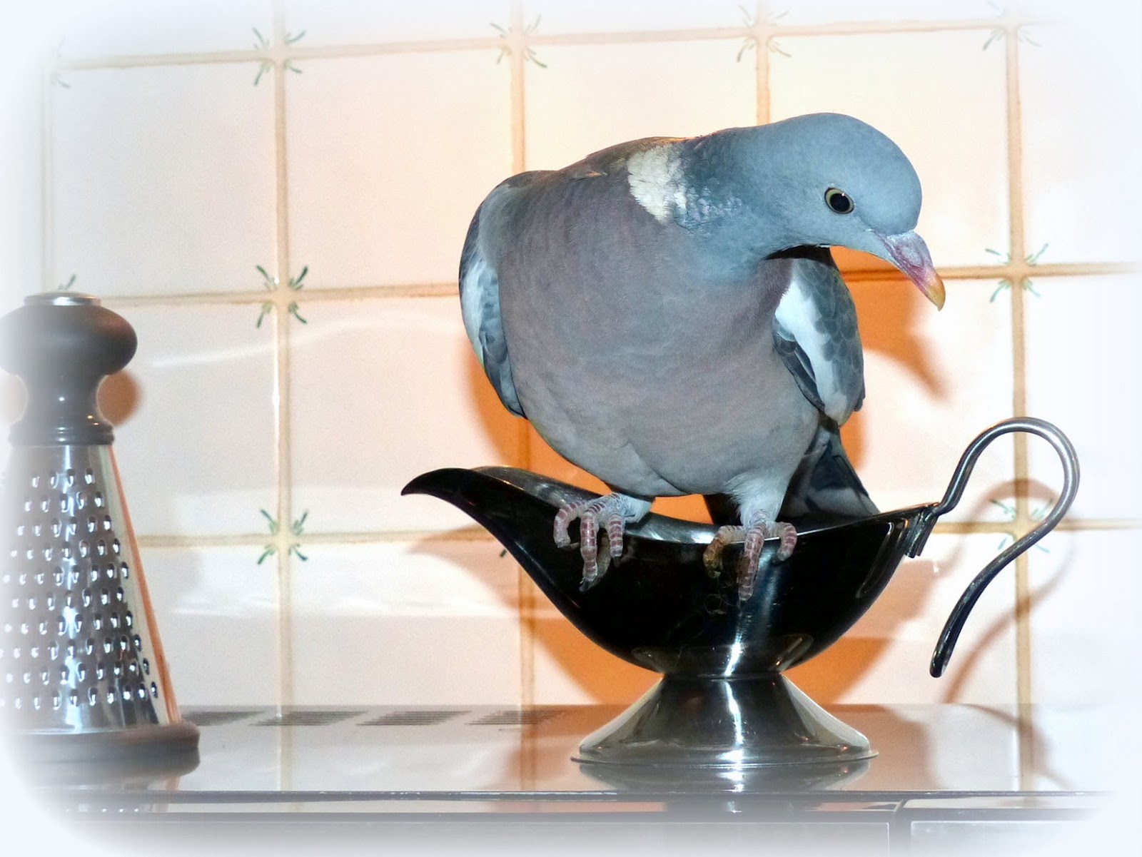 Inutile pour les uns indispensable pour les autres ! !: La suite de l ...