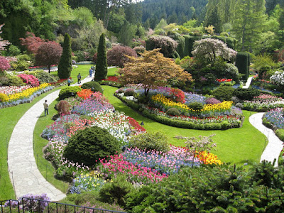 Lesley Turner: Spring In Victoria