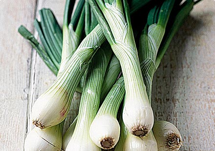 Spring Onion - Fruits And Vegetables