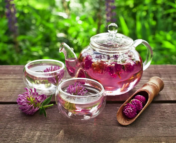 About Health: Red clover