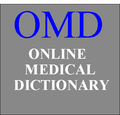 Medical Notes