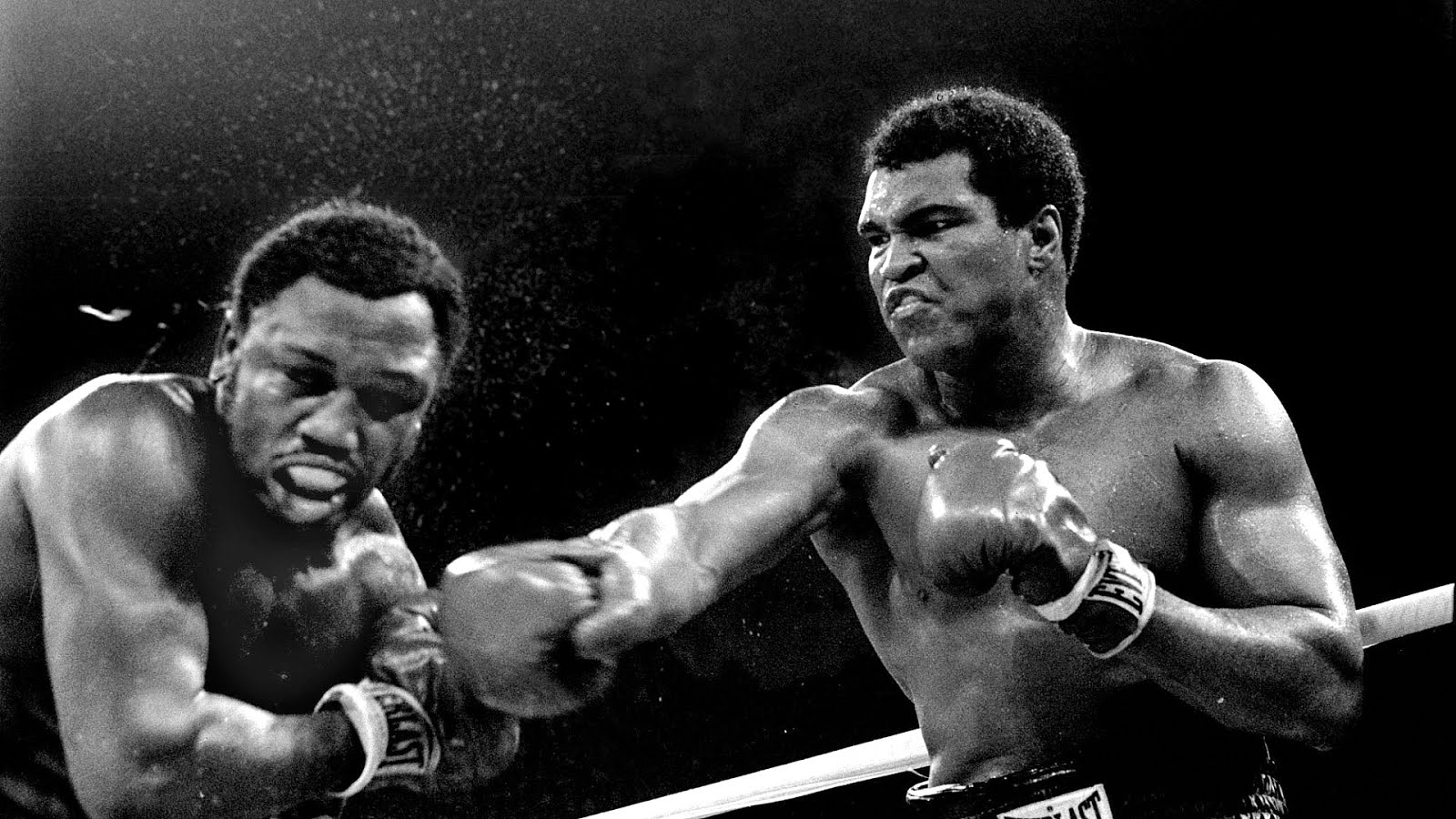 Jack Johnson (boxer) - Box Choices