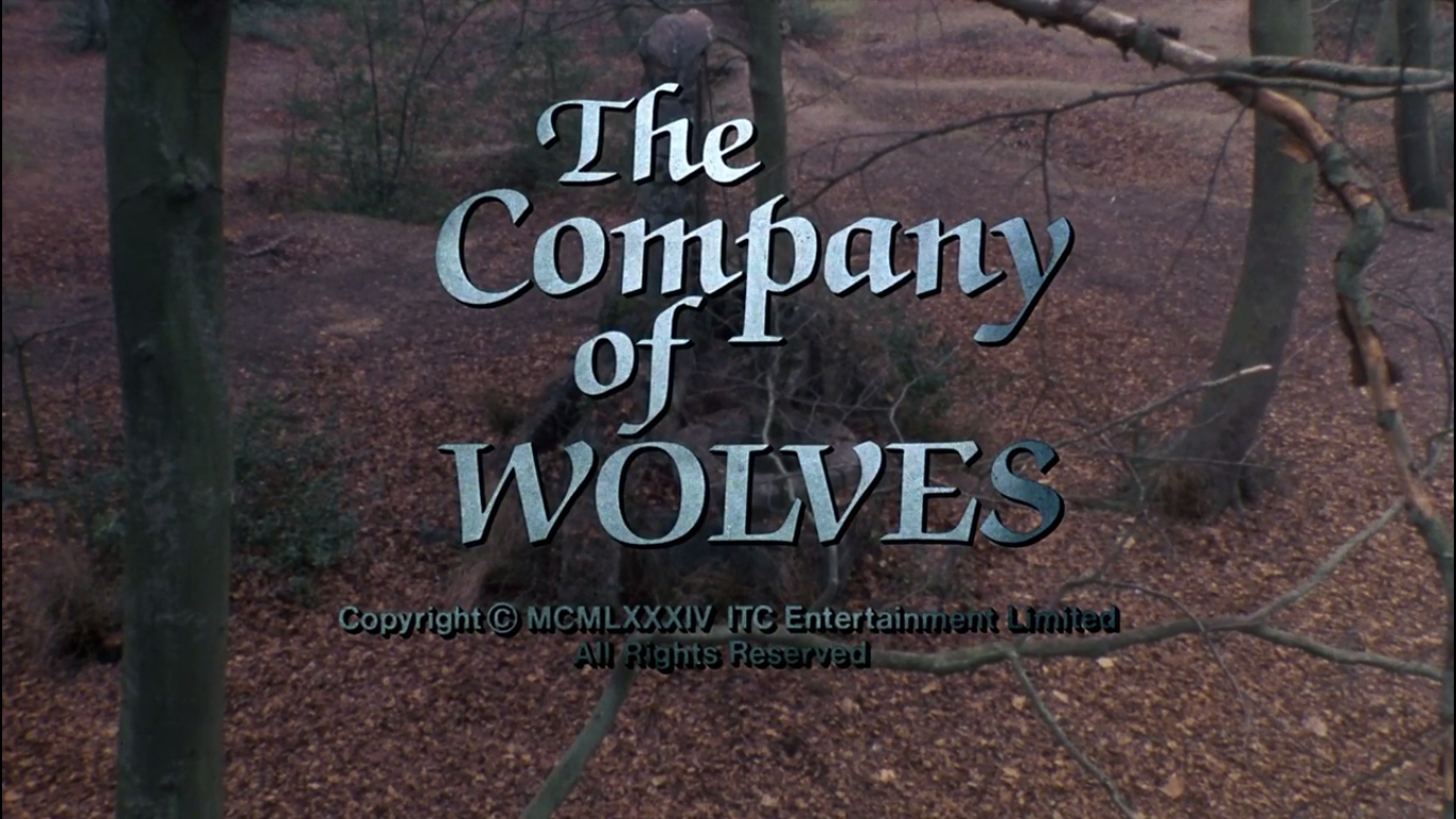 Room 207 Press: We Don't Go Back – Guest Post: The Company of Wolves (1984)