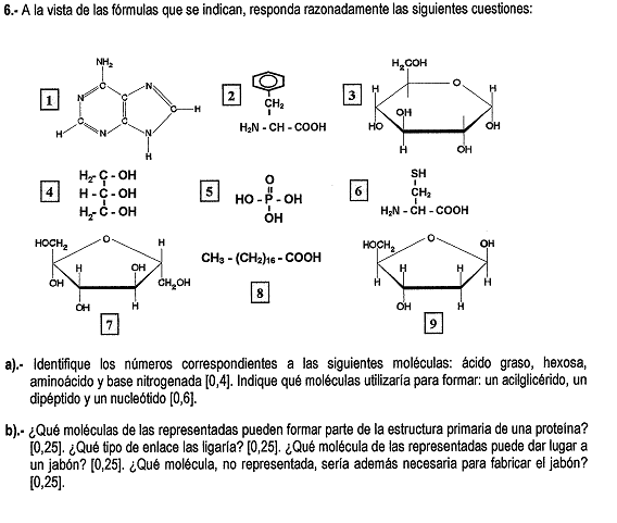 Biologia 1: Actividades 35-83 Final..