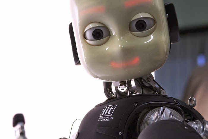 Domestic Robots May be Available in 18 Months