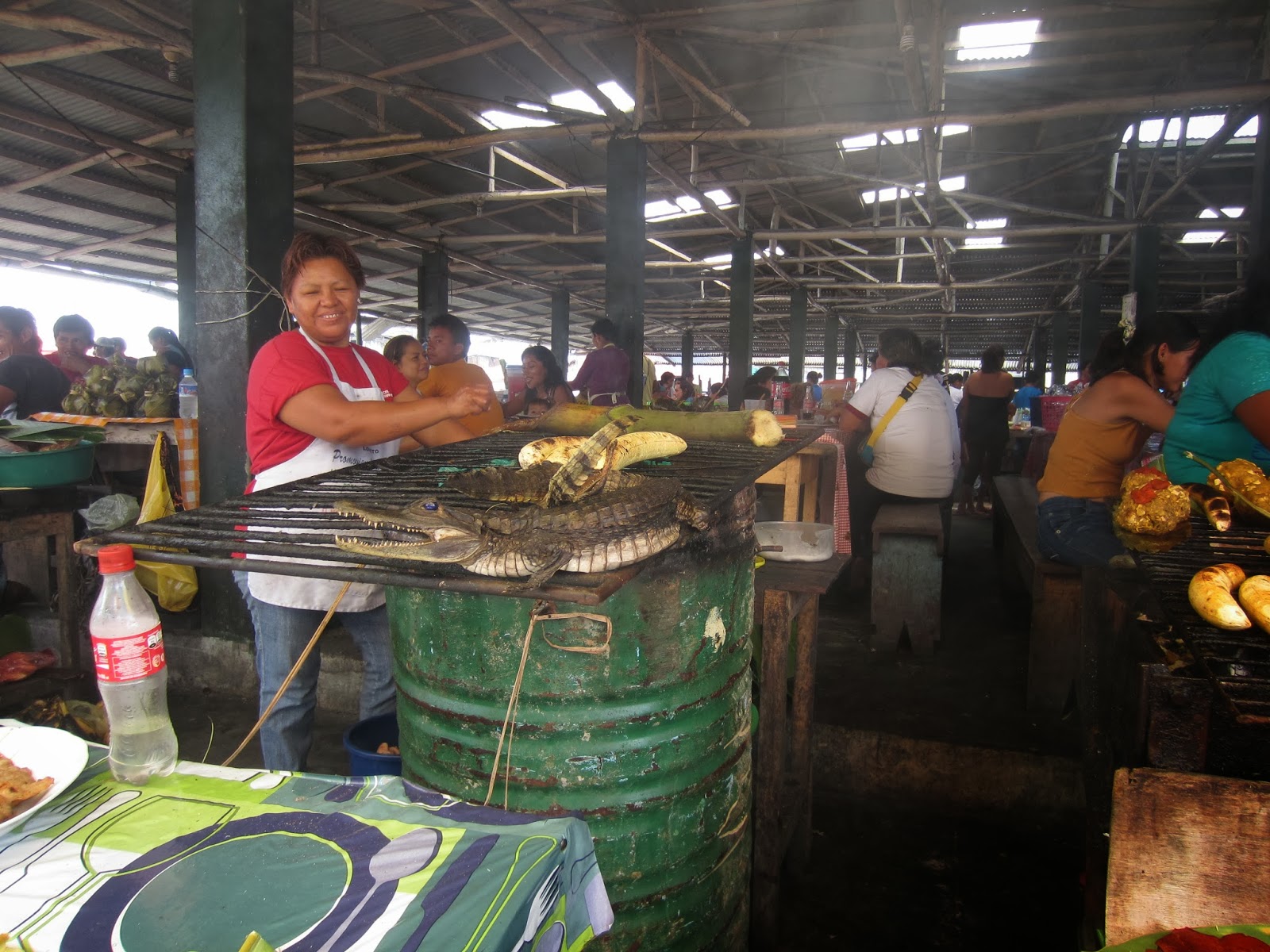 Los Libros Verde Menta