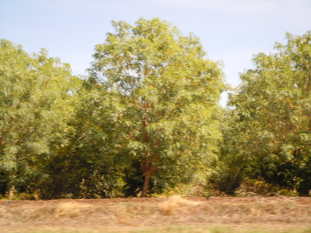 One Year to Give: Kununurra - two times