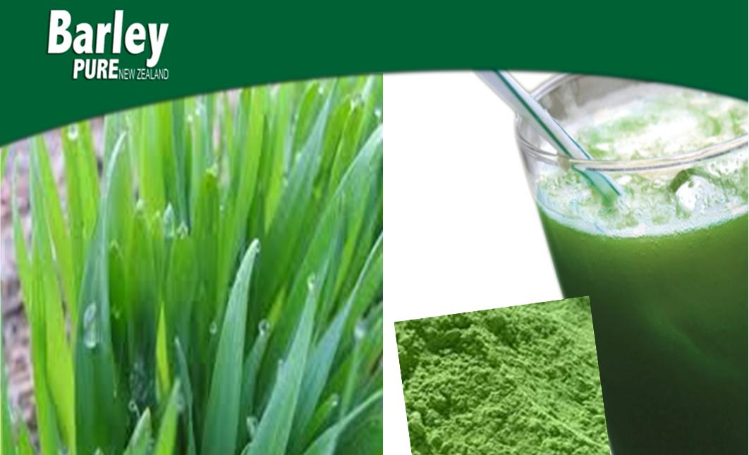 BENEFITS FROM PURE BARLEY GRASS NEW ZEALAND