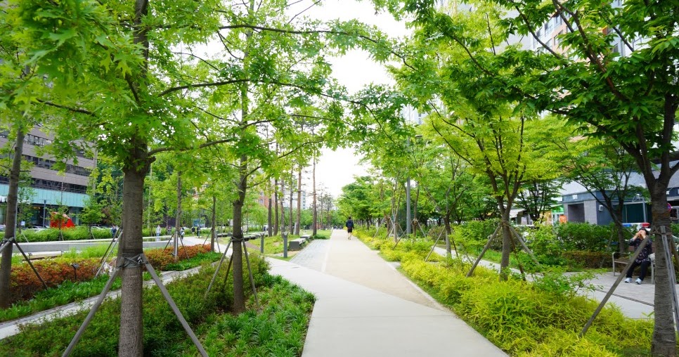 AREX: [AREX Line - Gongdeok Station] BEST 2 Cafes near Gongdeok Station