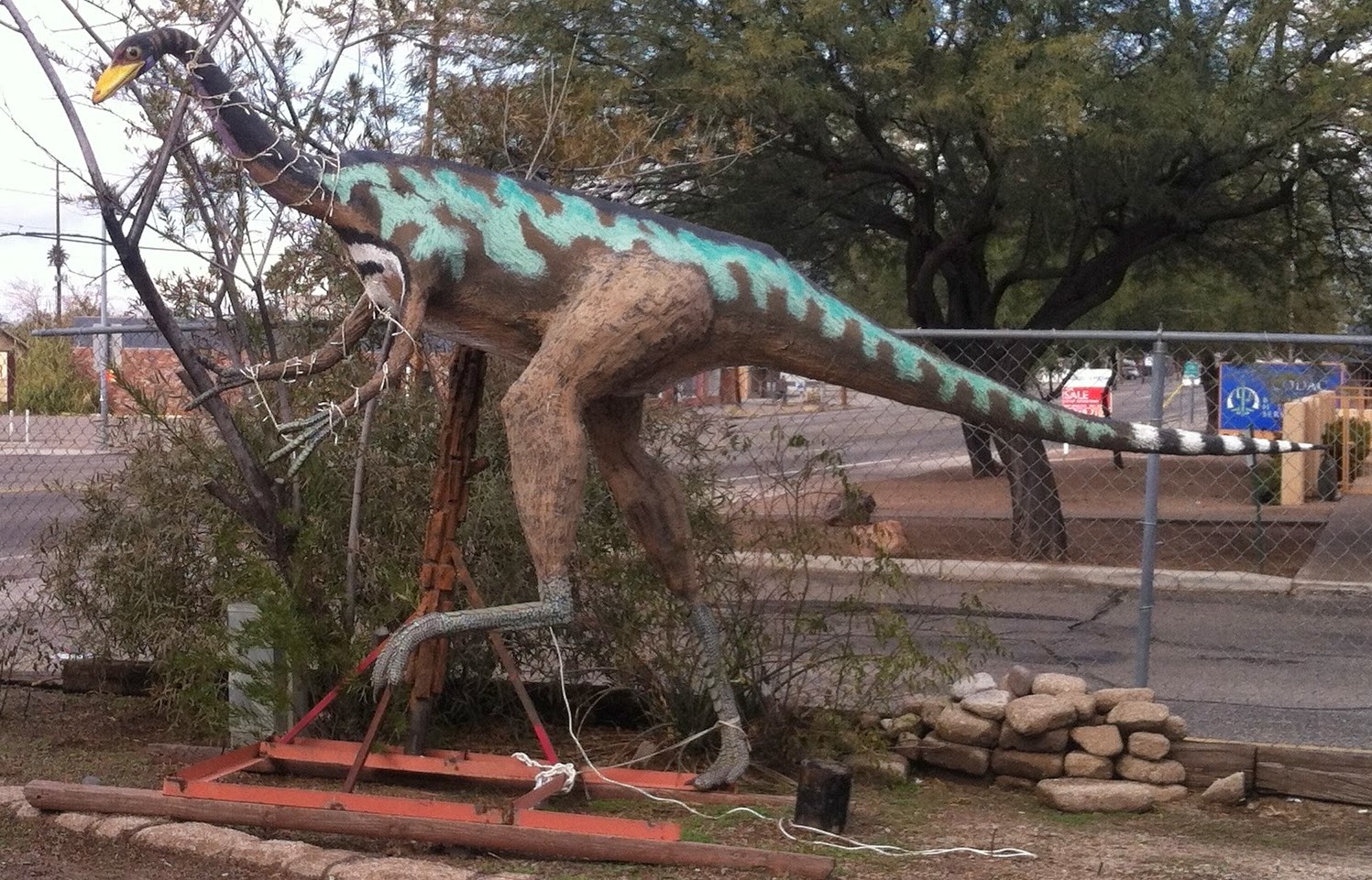Tucson Daily Photo ~: Tucson's T-Rex Duck?