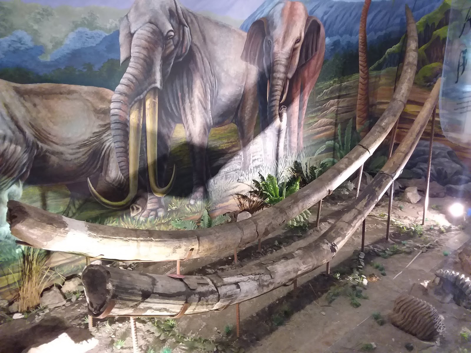 Sangiran Museum the World Heritage Site