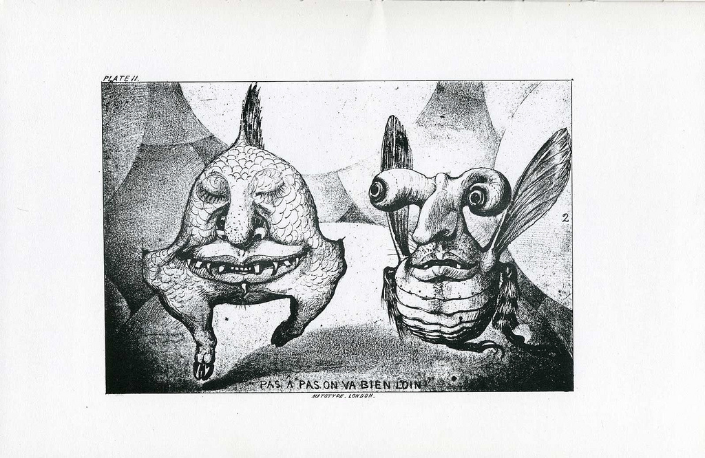 Little Wing: Edward William Cooke's Grotesque Animals