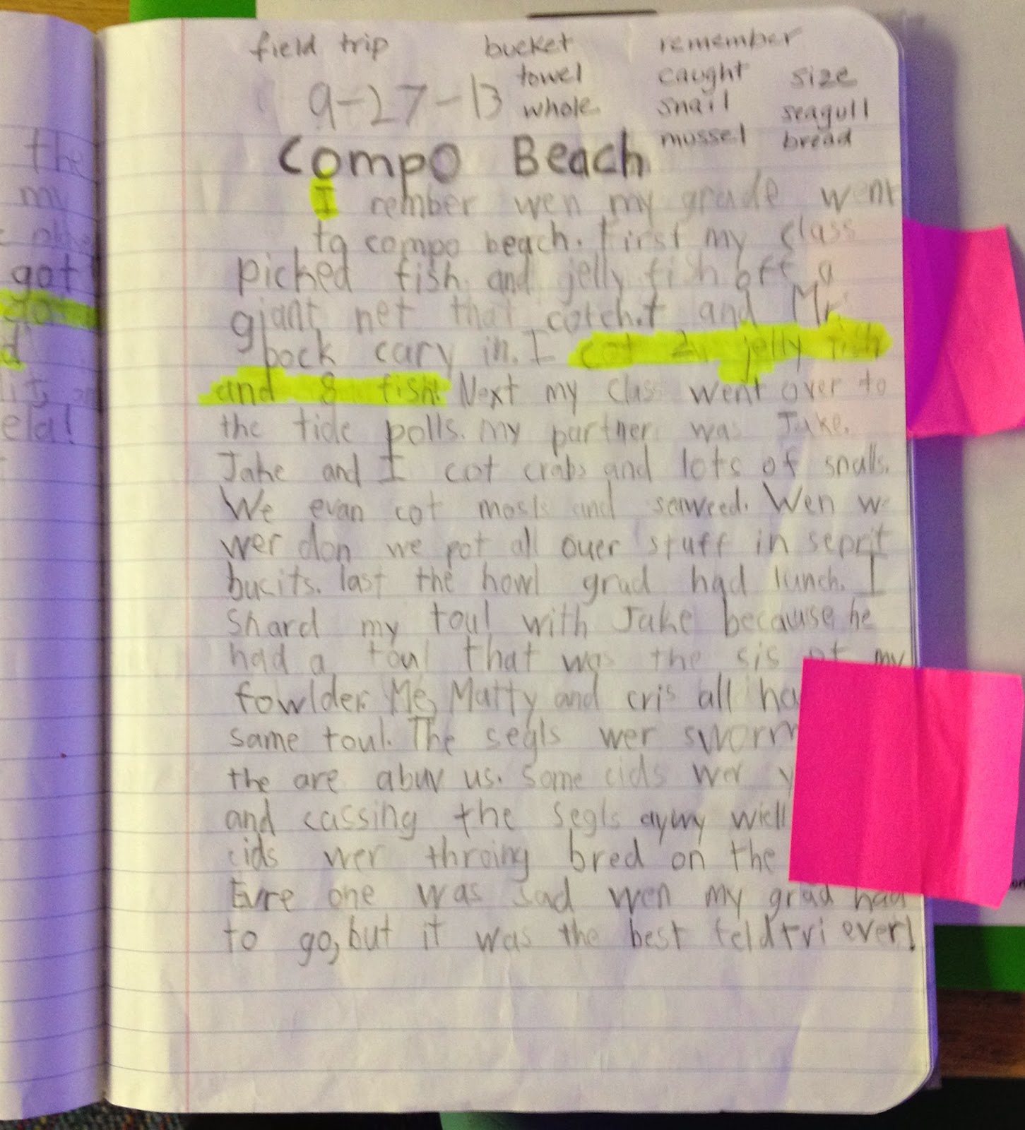 Writing Workshop in 2nd grade: Cycle 3- Writer's Notebook
