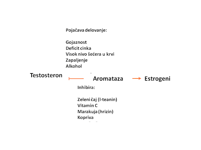 Zašto muškarci postepeno postaju žene?_