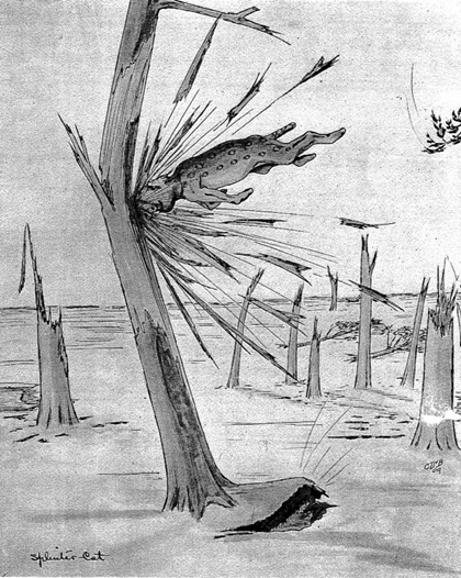 Mundos propios: FEARSOME CRITTERS: Criaturas temibles en la mitología ...