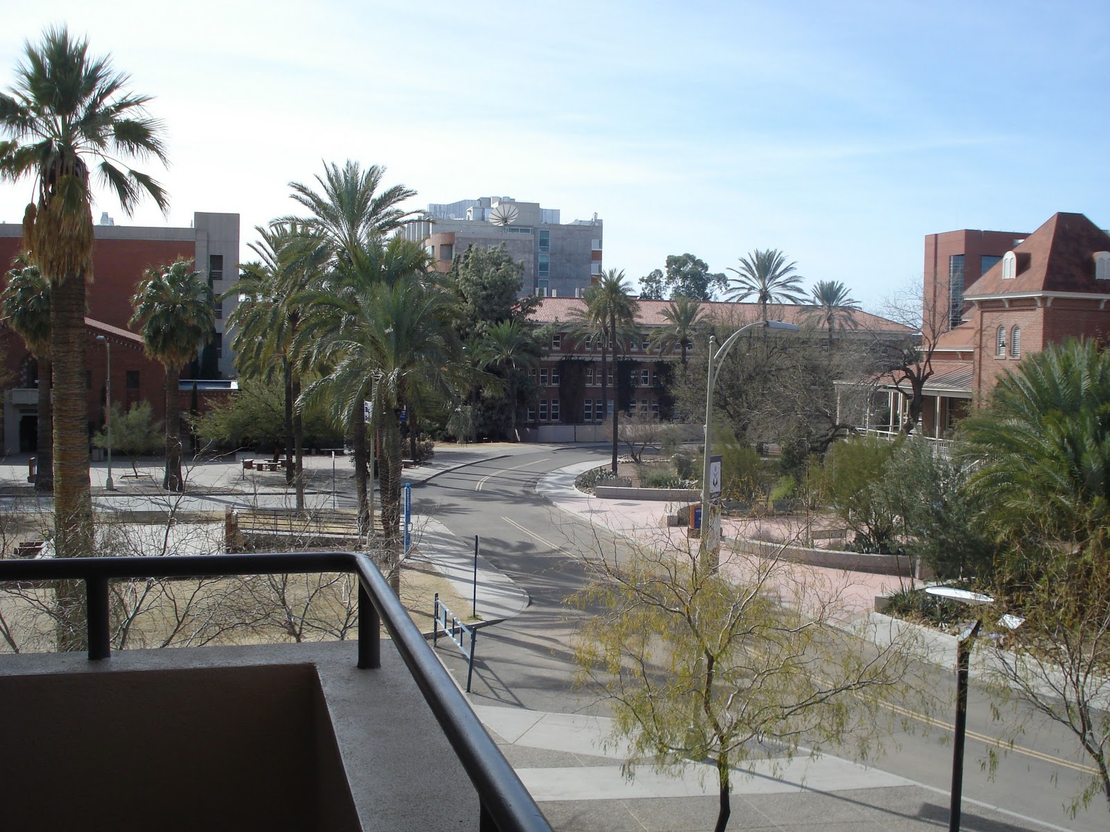 Pride and Tradition-The University of Arizona Mall: 02.11