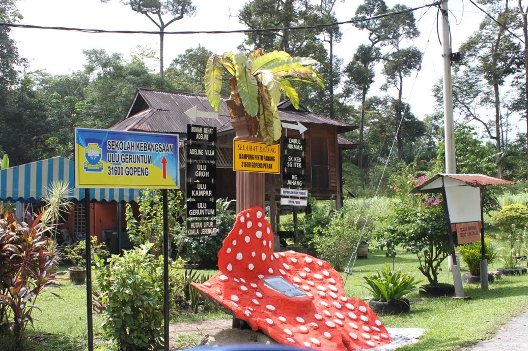 KUALA SEPETANG ECO TOURISM Matang Mangrove Forest Reserve Tour, Bird ...