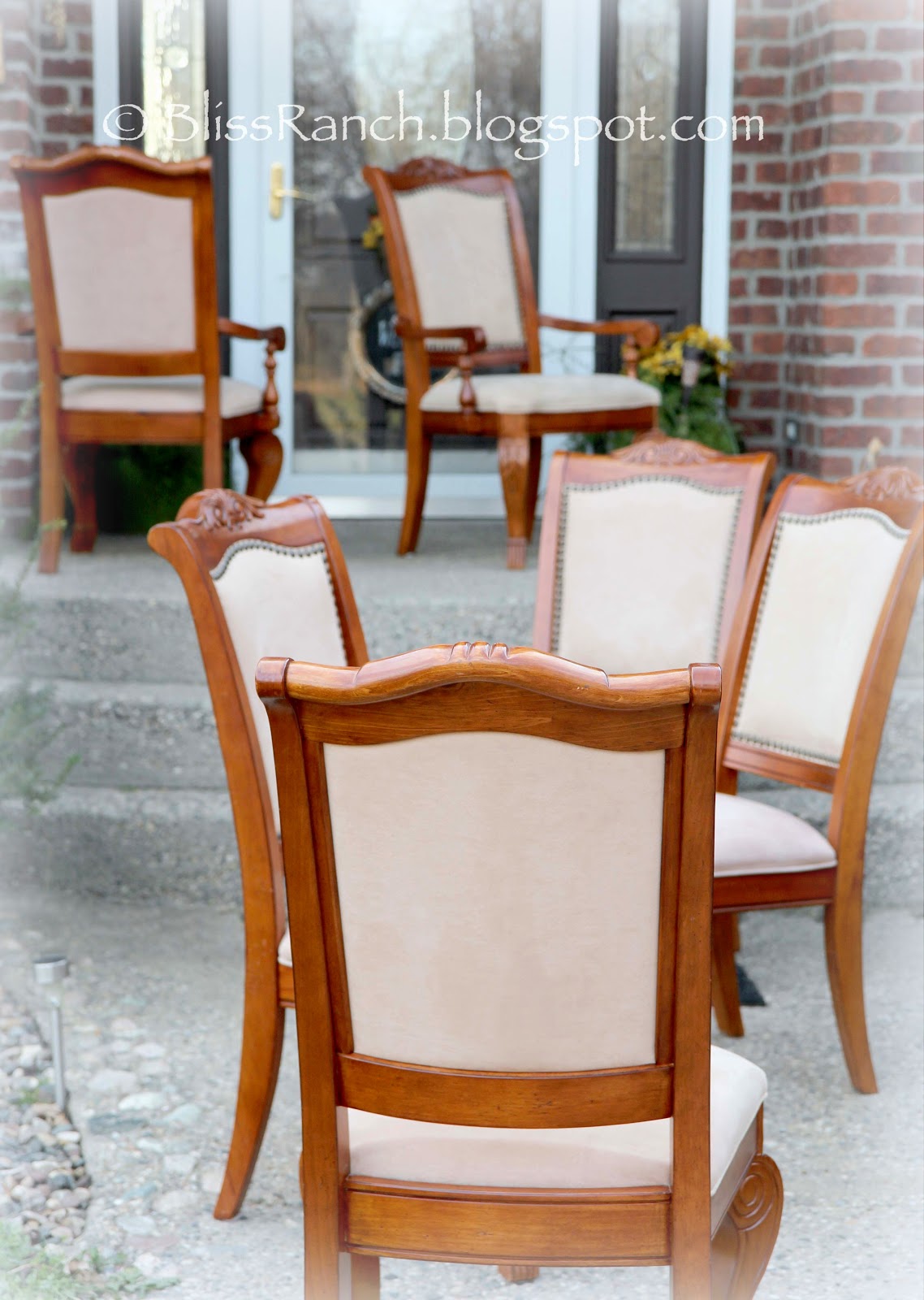 Bliss Ranch: Turkeys, Chairs, and Lisa's Husband