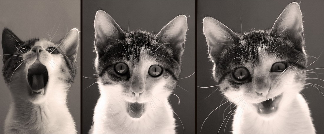 Beautiful World : Fresh Collection of Most Beautiful and Funny Pics