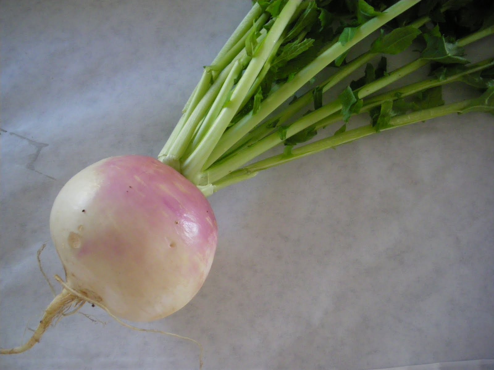 The Scarf and Stripe: vegetable pot pies with puff pastry