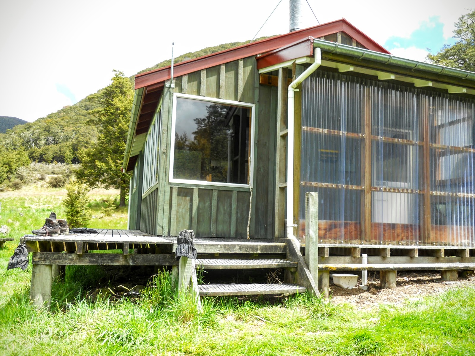 Tramping in the New Zealand backcountry: NZ Bush Adventures: Whats in a ...