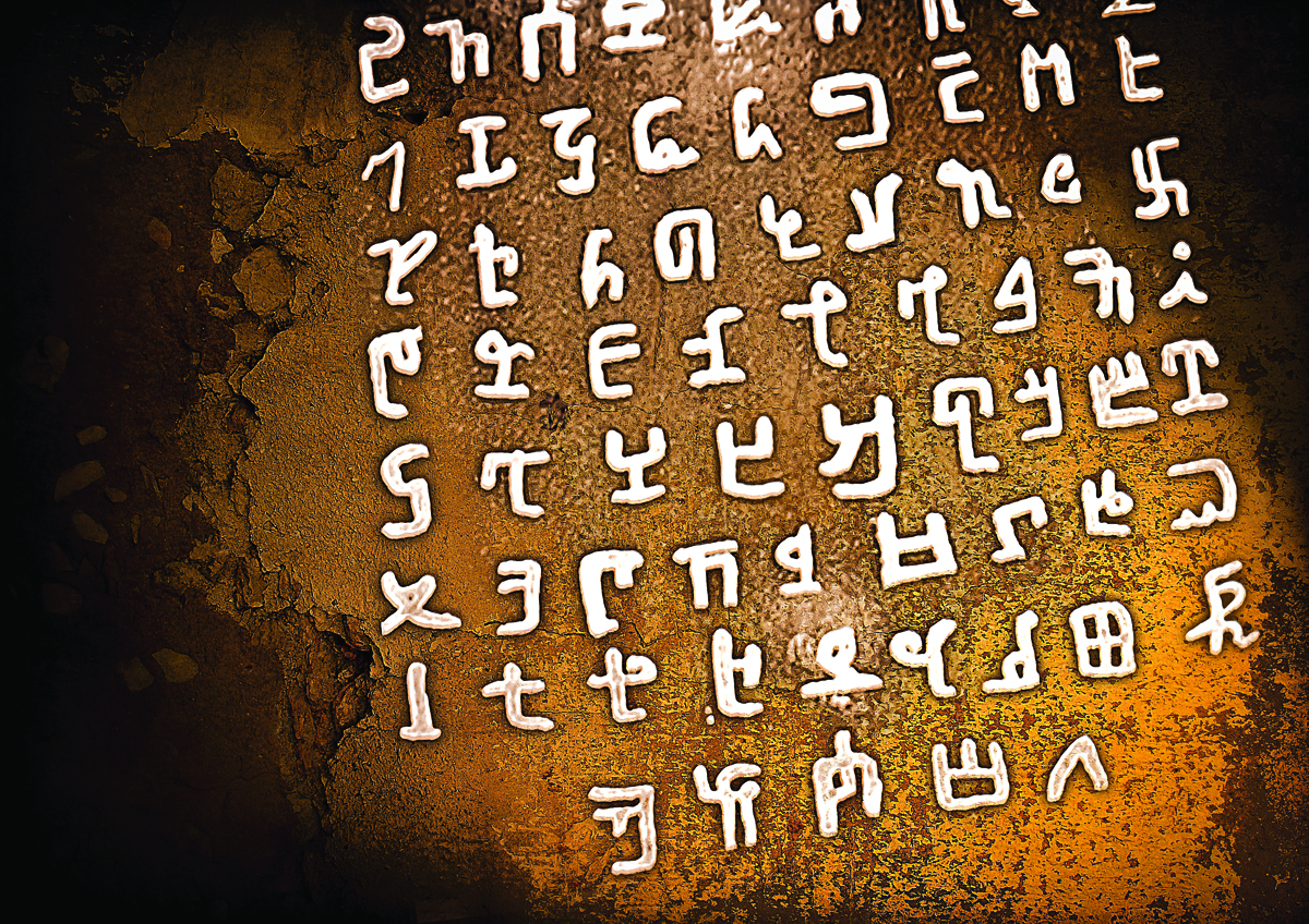 PECIPTA 2011: February 2011