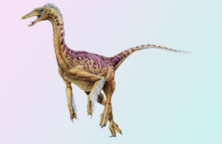 Dinosaur info: May 2011