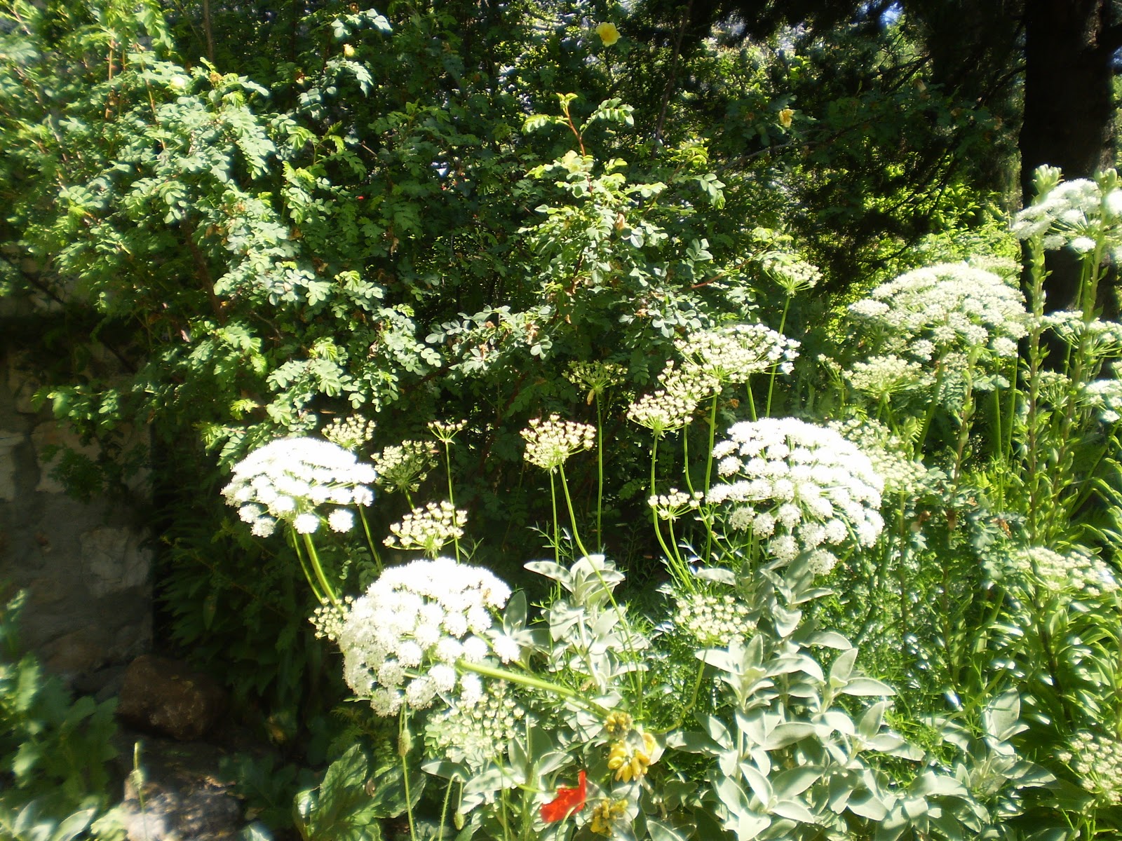 Gardening Airy Fairies: Domaine du Prieuré and Jardin des Fleurs de ...