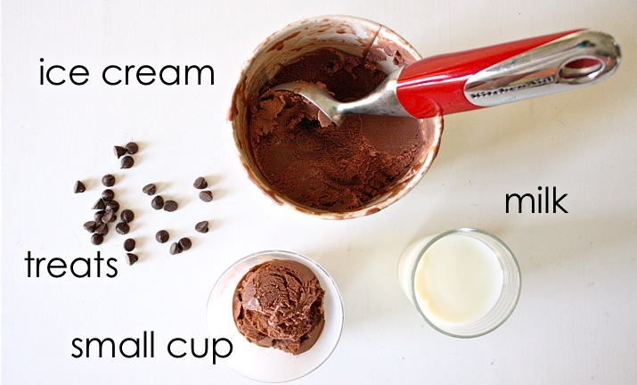 Mini Homemade Milkshakes - MADE EVERYDAY