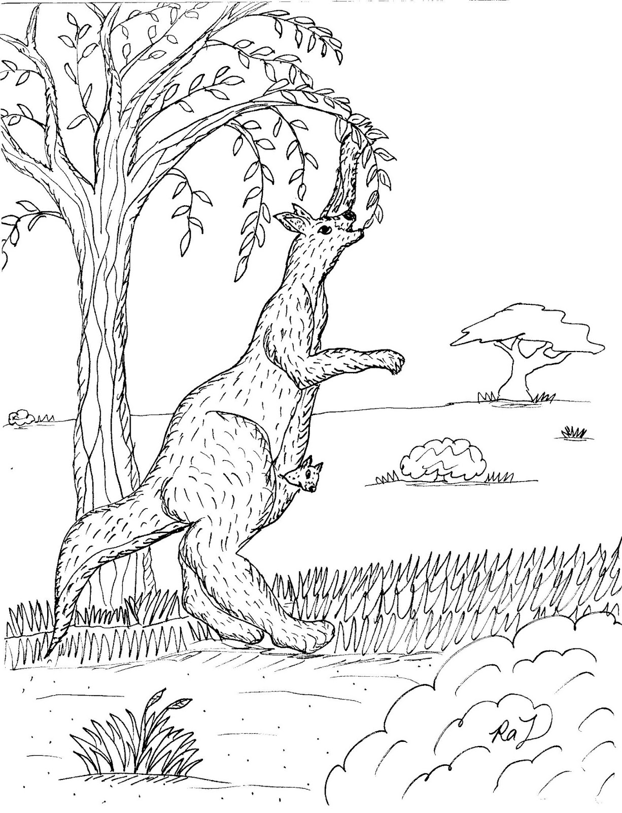 Robin's Great Coloring Pages: Procoptodon the Giant Short Faced Kangaroo