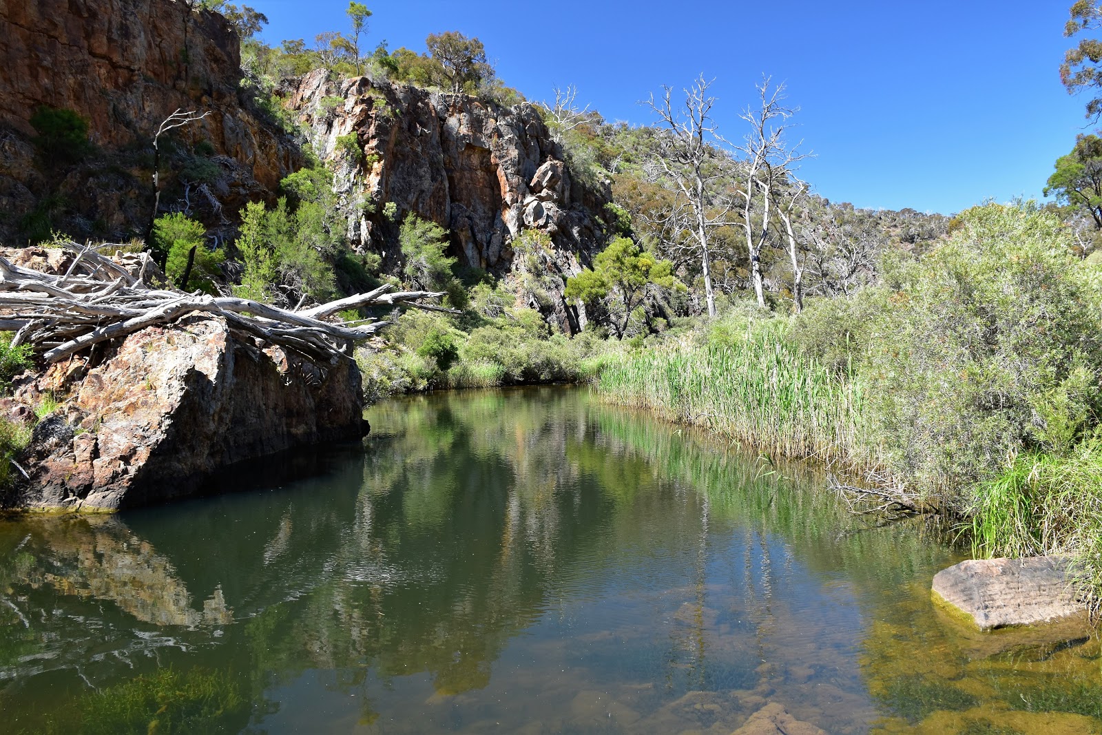 Goin' Feral One Day At A Time: Werribee Gorge & Whyte Island Circuit ...