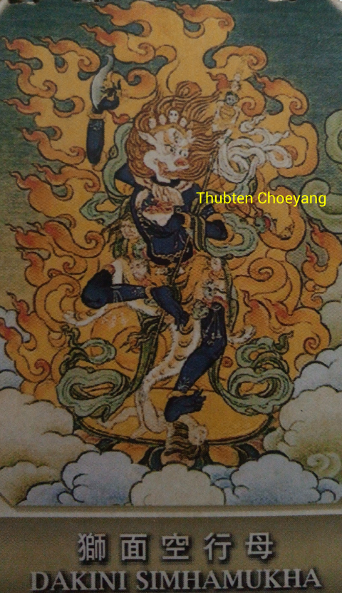 Tibetan Buddhism and Culture: Auspicious Dakini day 空行母
